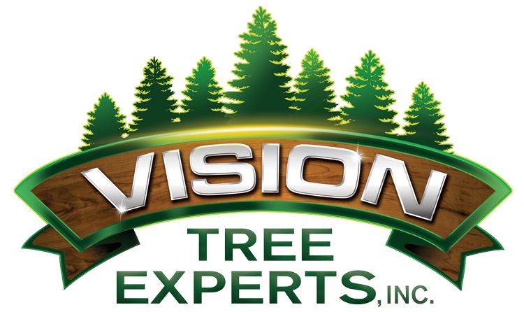 Vision Tree Experts, Inc. - Certified Arborists